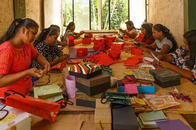 Kadadasi and the Backyard Forest - Authenticity & Reviews: What Visitors Say