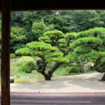 Kagawa: Ritsurin Garden Guided Walking Tour - The Sum Up