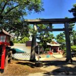 Kagoshima Family-Friendly Adventure - Who Would Love This Tour?