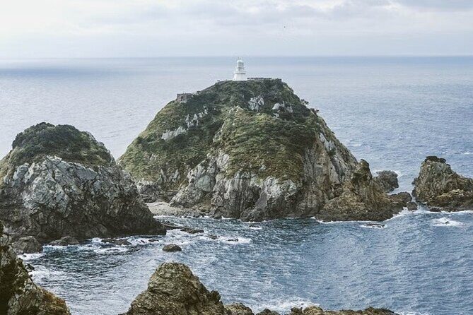 Kagoshima Private Vehicle Service with Restaurant Reservation - Who Should Consider This Tour?