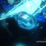 Kailua-Kona: Manta Ray Night Snorkel SMALL GROUP - What Makes This Tour Stand Out?