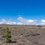 Kailua-Kona: Volcanoes, Lava Tube, and Black-Sand Beach Tour - Practical Considerations and Tips