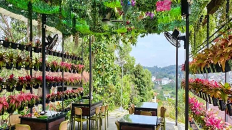 Kajang: Sak Dato Temple, EcoHill Park & Pineapple Farm Tour - Practical Details: What to Expect