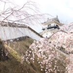 Kakegawa Castle and Sake Tasting Private Tour with Public Train - Value Analysis