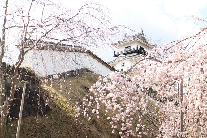Kakegawa Castle and Sake Tasting Private Tour with Public Train - Value Analysis