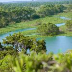 Kalametiya: Bird Sanctuary Catamaran Bird Watching Tour - In-Depth Review