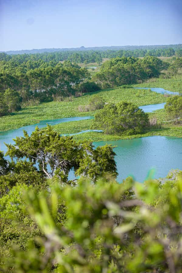 Kalametiya: Bird Sanctuary Catamaran Bird Watching Tour - In-Depth Review