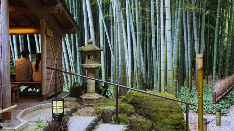 Kamakura All-Day Zen Walk: Temples & Hidden Gems - The Itinerary Unpacked: A Day of Serenity and Discovery