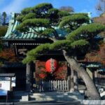 Kamakura and Yokohama Private Tour with Bilingual Chauffeur - Temples and Gardens: The Soul of Kamakura