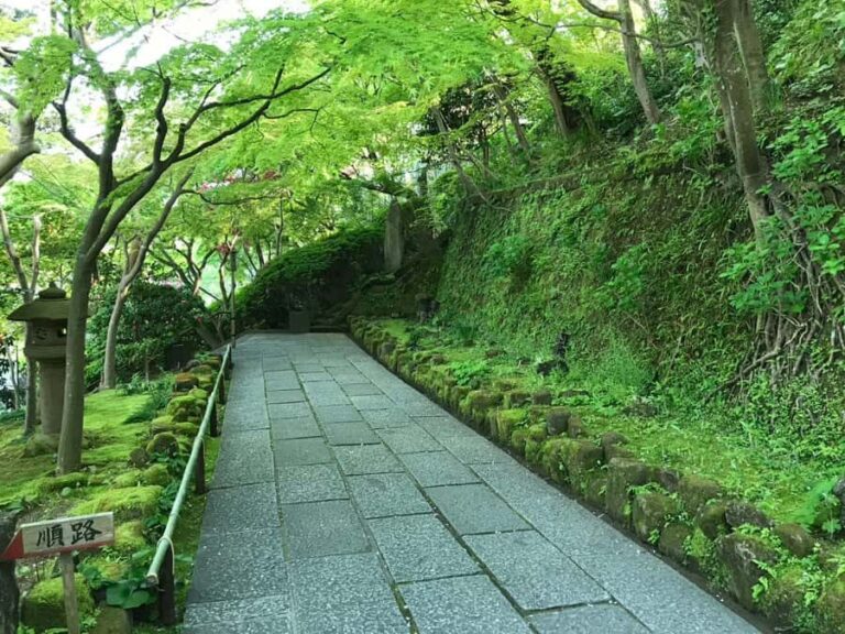 Kamakura: Anime Pilgrimage Tour with Local Guide - Key Points