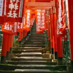 Kamakura: Cherry Blossom Full Day Tour with Expert Guide - What Makes This Tour Stand Out?
