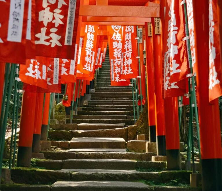 Kamakura: Cherry Blossom Full Day Tour with Expert Guide - What Makes This Tour Stand Out?