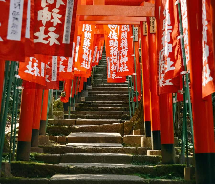 Kamakura: Cherry Blossom Full Day Tour with Expert Guide - What Makes This Tour Stand Out?