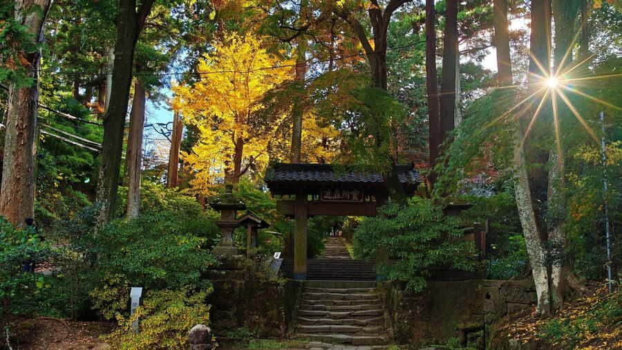 Kamakura: Great Buddha Hike, Hidden Shrines & Zen Temples - FAQ