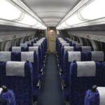 Kamakura Great Buddha, Temple, Shrine Private Day Tour from Tokyo - Temples and Shrines: Zen and Simplicity