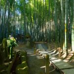 Kamakura Great Buddha & Yokohama tour with English Speaking Guide - Who Is This Tour Best For?