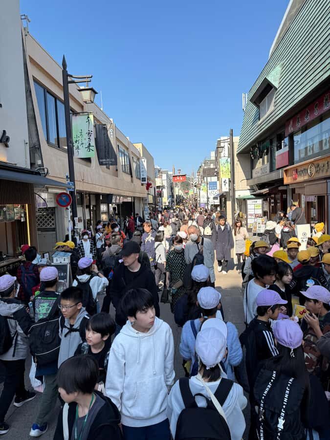 Kamakura Guided Tour with a 5 STAR Tour Guide - The Experience in Context: What Makes It Stand Out