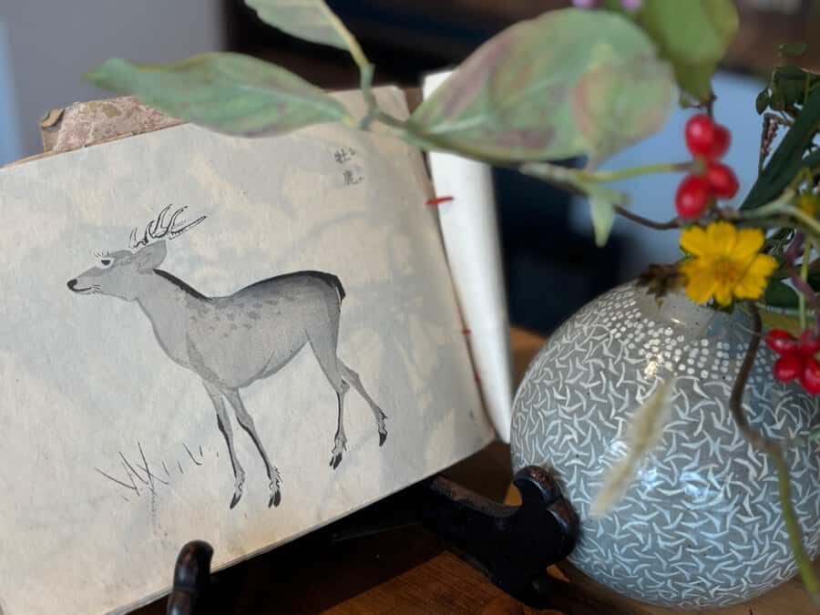 Kamakura: Mindfulness Tea Ceremony Experience - The Value of This Experience