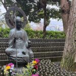 Kamakura Tours Half Day or Full Day Tours with a local guide. - Practical Aspects of the Tour