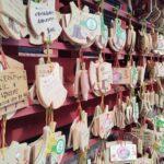 Kamakura: Tsurugaoka Hachimangu & Komachi Street Tour - Who Will Appreciate This Tour?