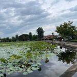 Kampot: City Tour with Salt Farm and Fishing Village - The Sum Up