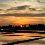 Kampot Countryside include Pepper farm, Salt field & Lake - Visiting the Pepper Farm