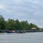 Kampot: Palm Sugar Making, Fish Island, and Buffalo Tour - What to Expect