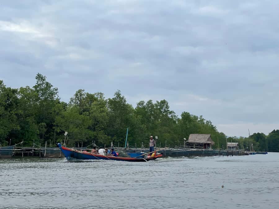 Kampot: Palm Sugar Making, Fish Island, and Buffalo Tour - What to Expect