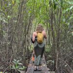Kampot: Trapeang Sangkae Mangrove Forest Tour - The Practical Side: Logistics and Value