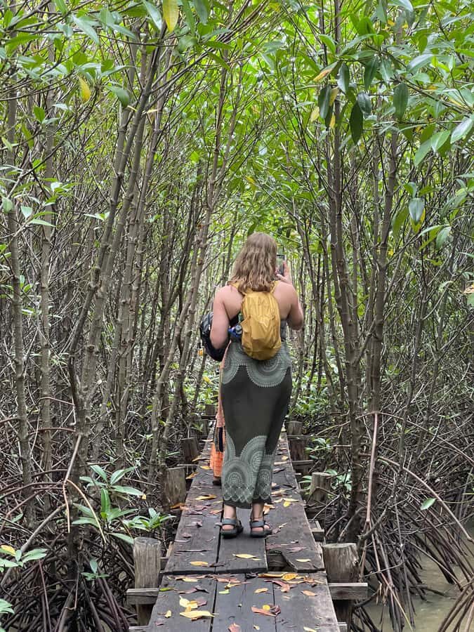 Kampot: Trapeang Sangkae Mangrove Forest Tour - The Practical Side: Logistics and Value