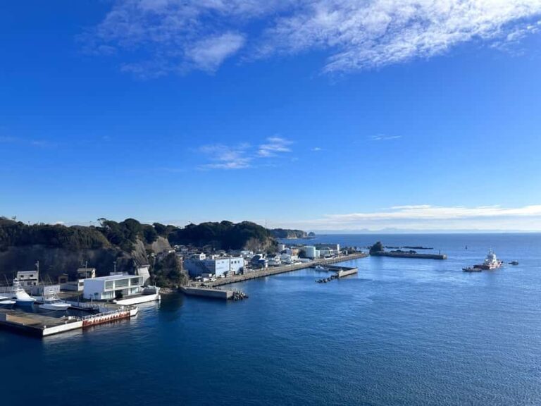 Kanagawa: Jogashima Island Tour with Scenic Views - The Itinerary in Detail