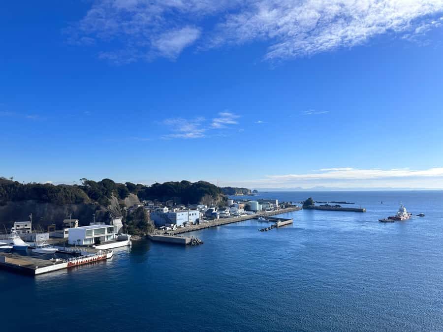 Kanagawa: Jogashima Island Tour with Scenic Views - The Itinerary in Detail