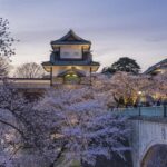 Kanazawa: Taiko Drum Workshop Tour with Sake Brewery Meal - Why This Tour Offers Great Value