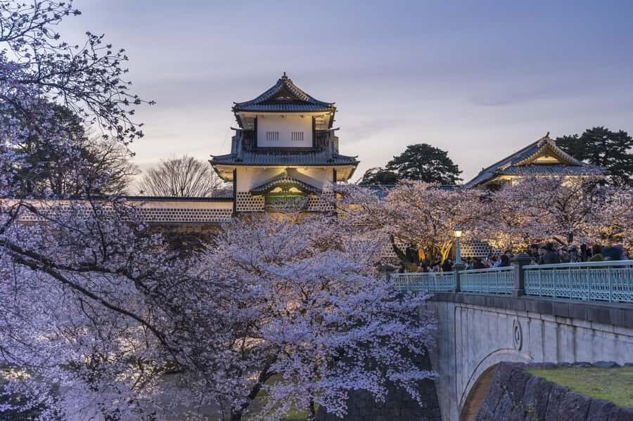 Kanazawa: Taiko Drum Workshop Tour with Sake Brewery Meal - Why This Tour Offers Great Value