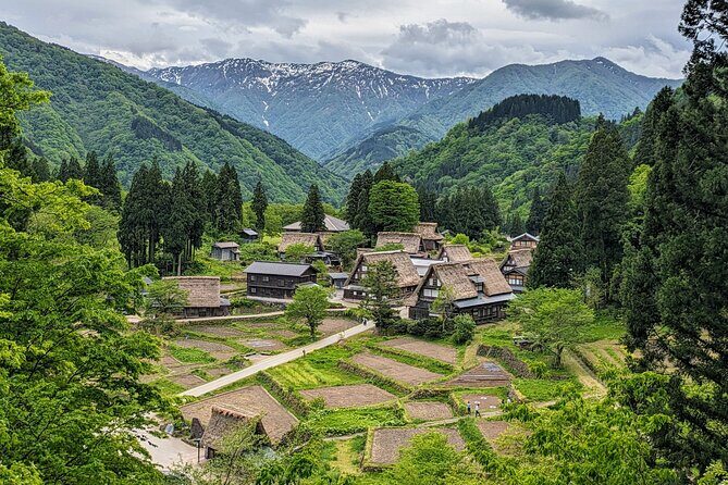 Kanazawa Tonami Tulips and UNESCO Gokayama - Who Will Love This Tour?