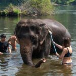 Kanchanaburi: Elephant Sanctuary & Erawan Waterfall Tour - What Reviewers Say