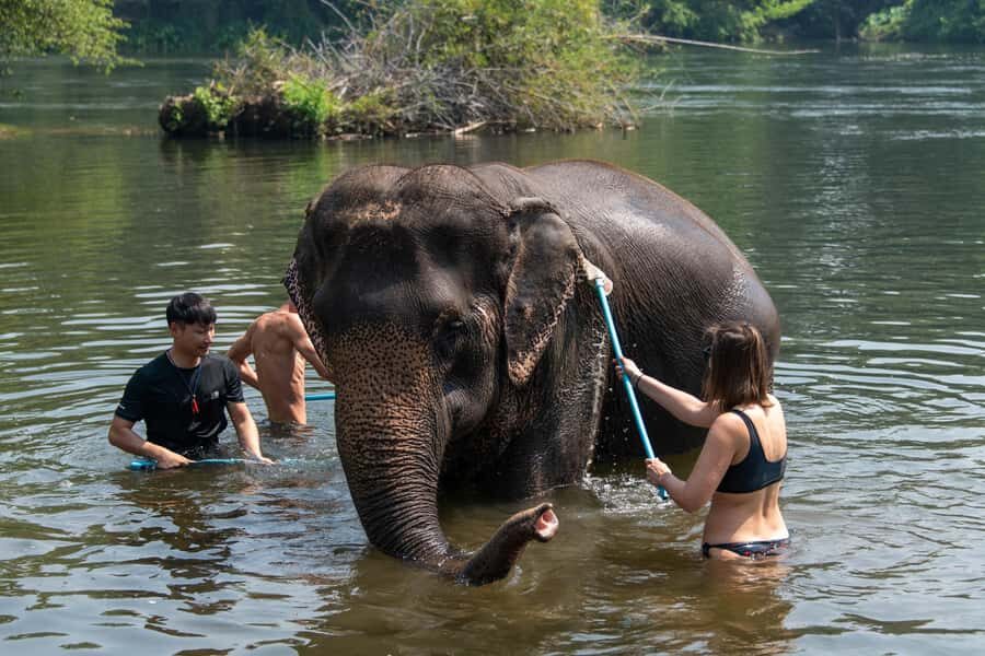 Kanchanaburi: Elephant Sanctuary & Erawan Waterfall Tour - What Reviewers Say