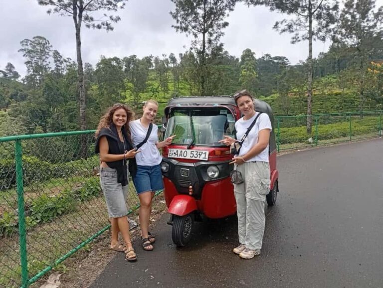 Kandy: Ambuluwawa Tower, Ramboda Falls & Tea Factory Tour - Practical Details and Value