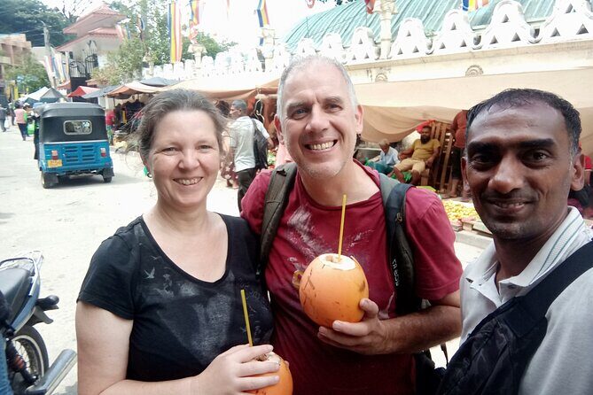 Kandy City Private Tour - Practical Details: Transportation, Timing, and Cost