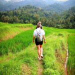 Kandy city tour and village tour in one day - What’s Included and What to Expect