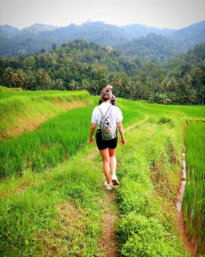 Kandy city tour and village tour in one day - What’s Included and What to Expect