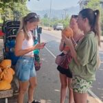 Kandy: City Tour with Sigiriya and Nuwara Eliya by Tuk-Tuk - What the Tour Means for You