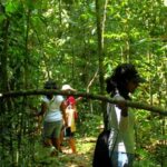 Kandy: Eco Village Tour with Cooking Program - The Spice Garden & Kithul Products: Sweet Beginnings