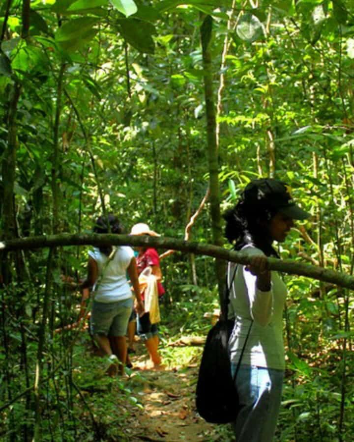 Kandy: Eco Village Tour with Cooking Program - The Spice Garden & Kithul Products: Sweet Beginnings