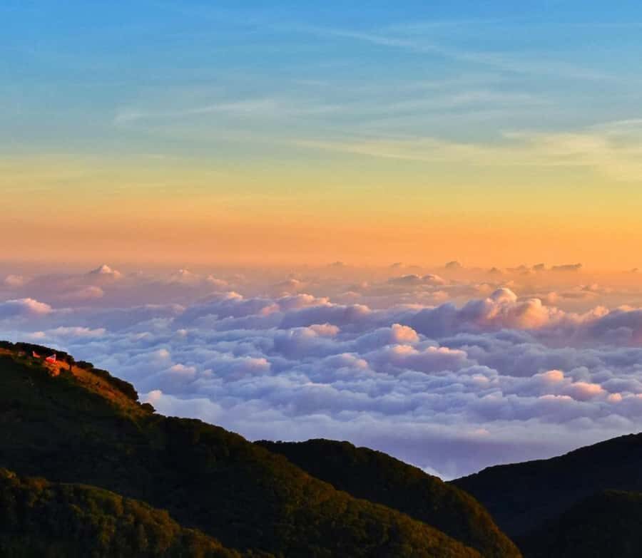 Kandy: Five Peaks Cloud Forest Adventure - An In-Depth Look at the Kandy Five Peaks Cloud Forest Adventure