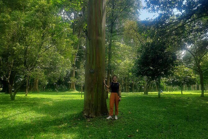 Kandy Full Day Tour from Colombo and Negombo and CMB Airport - The Sum Up: Who Should Consider This Tour?