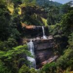 Kandy: Gombaniya Two-Day Cloud Forest Summit Trek - Day One: Into the Forests