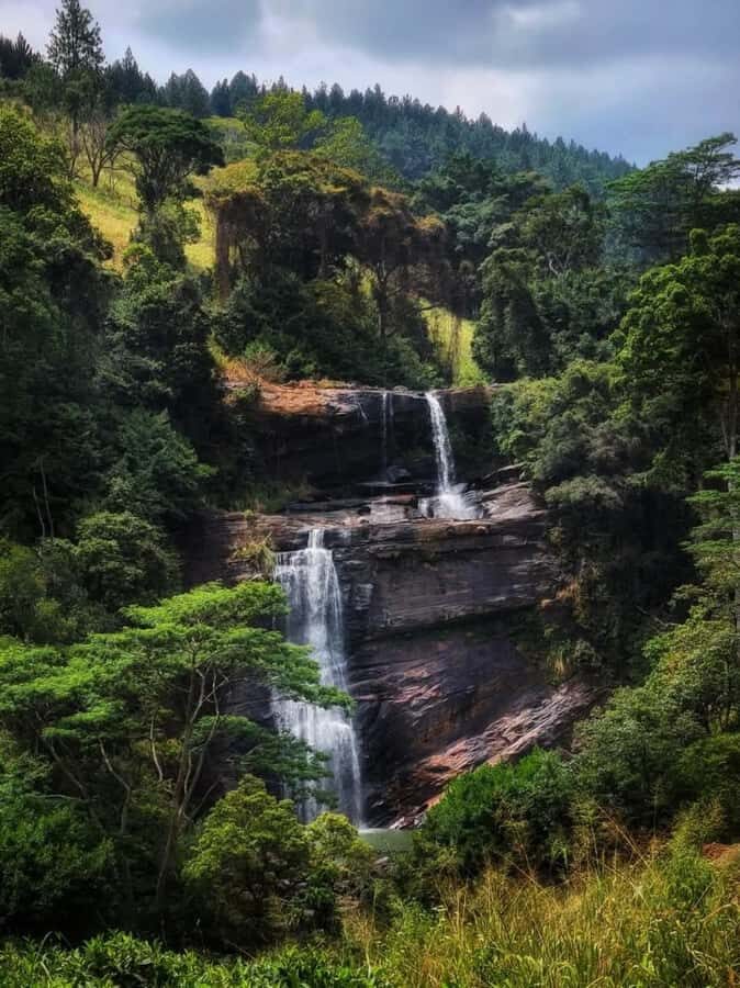 Kandy: Gombaniya Two-Day Cloud Forest Summit Trek - Day One: Into the Forests