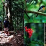 Kandy: Heritage and Architectural by Tuk Tuk - Practical Details and Our Take