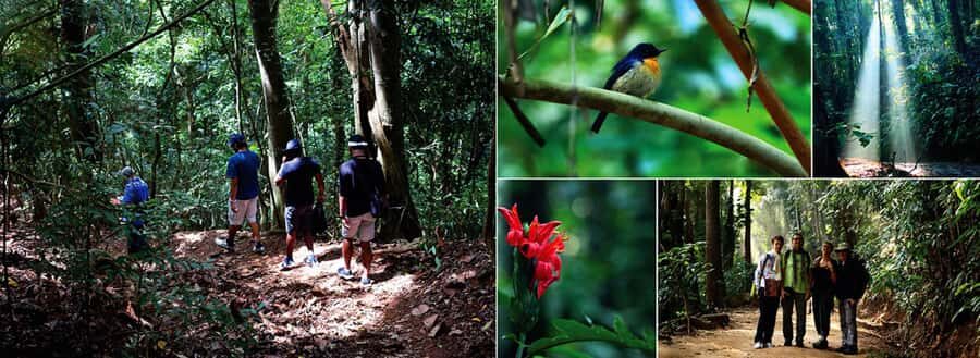 Kandy: Heritage and Architectural by Tuk Tuk - Practical Details and Our Take